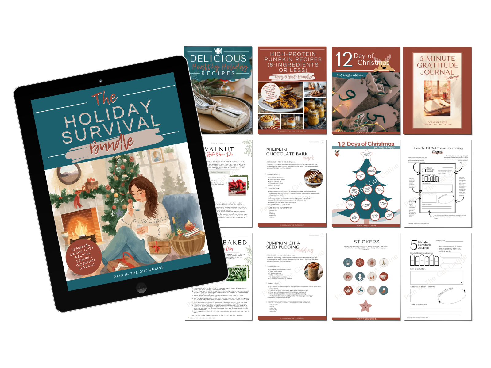 The Holiday Survival Bundle - Pain In The Gut